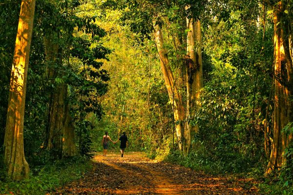 Cat Tien National Park: A Comprehensive Guide To Explore | Lux Travel ...
