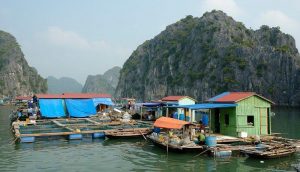 6 Reasons Cai Beo Floating Village Will Captivate You!