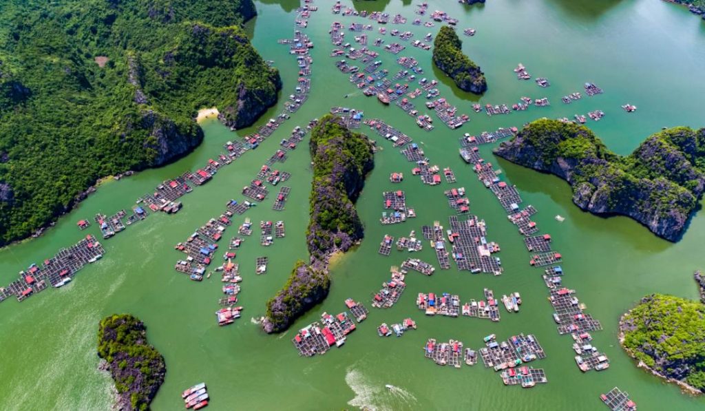 6 Reasons Cai Beo Floating Village Will Captivate You!